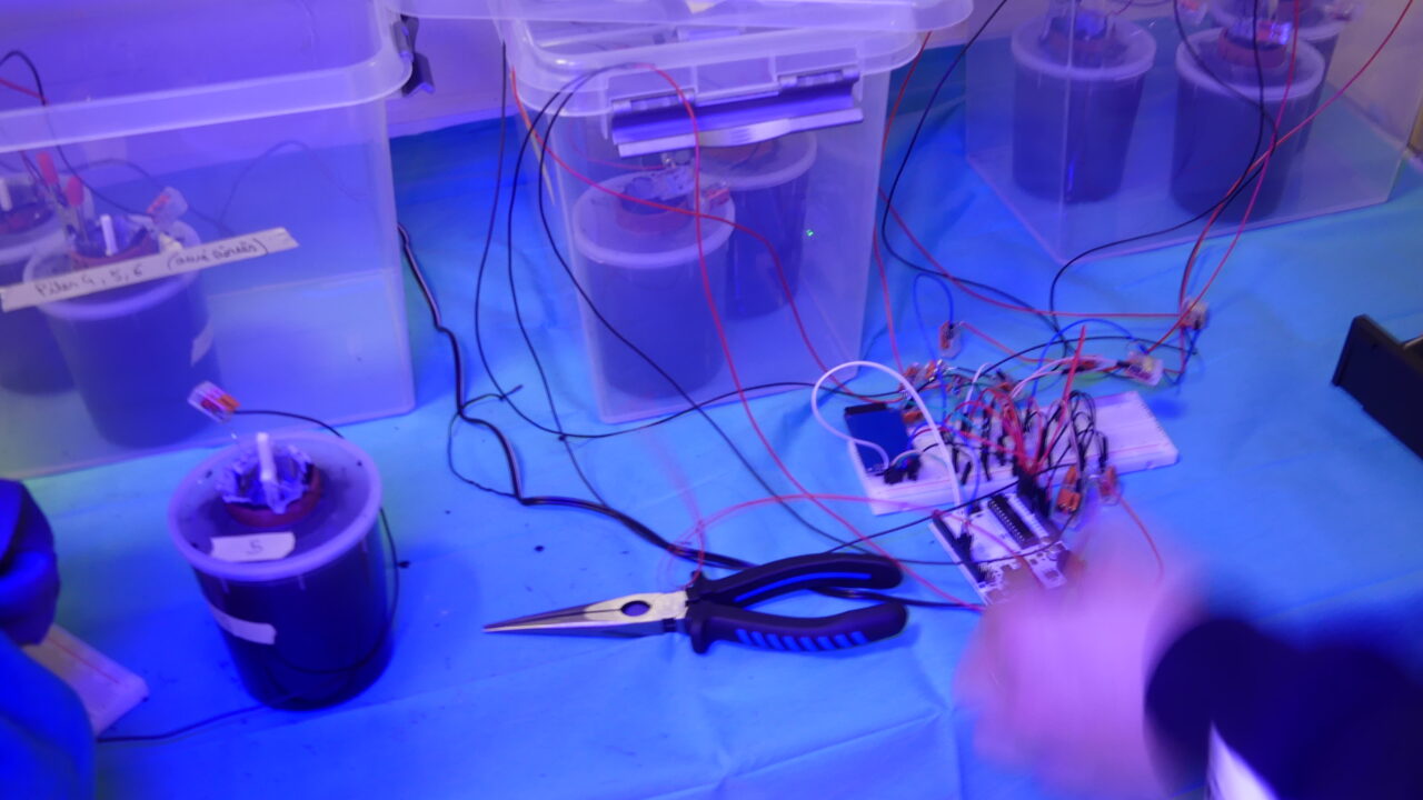 Parcours Innovation Biomédicale et Pharmaceutique (IBP) | CPES